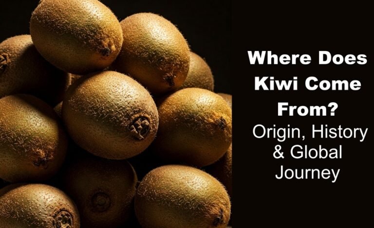 Where Does Kiwi Come From? | Origin, History & Global Journey