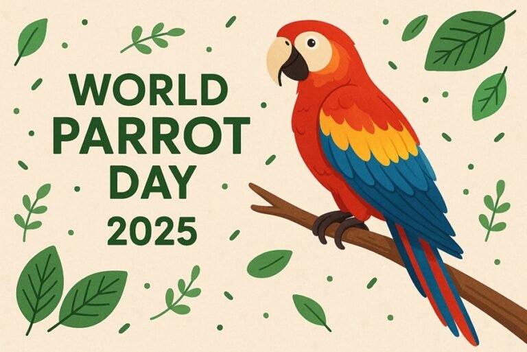 5 Ways to Celebrate World Parrot Day 2025 With Your Bird - Bharat Articles